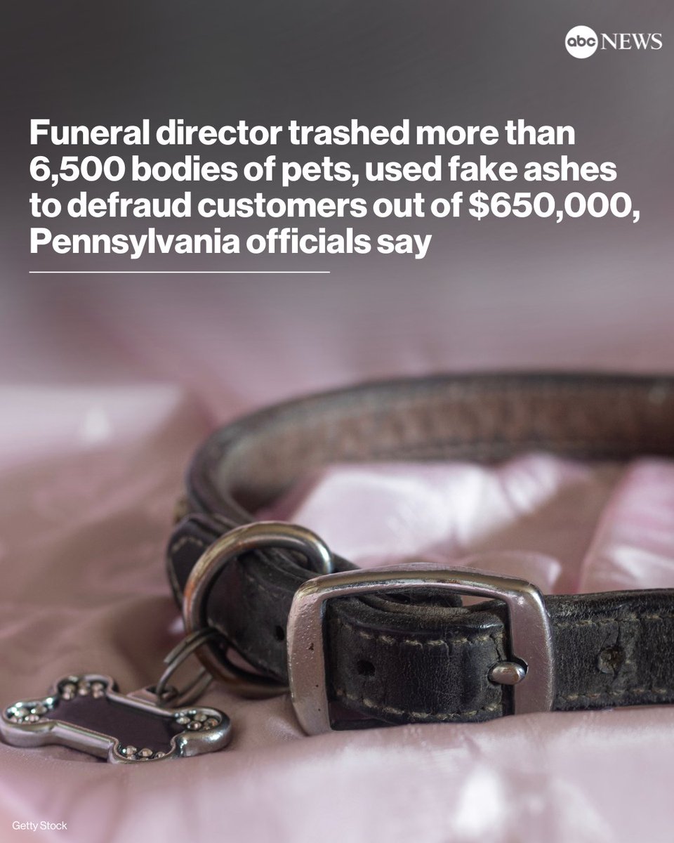 Pittsburgh's Vereb Funeral Home Owner Charged With $657,517 Pet ...