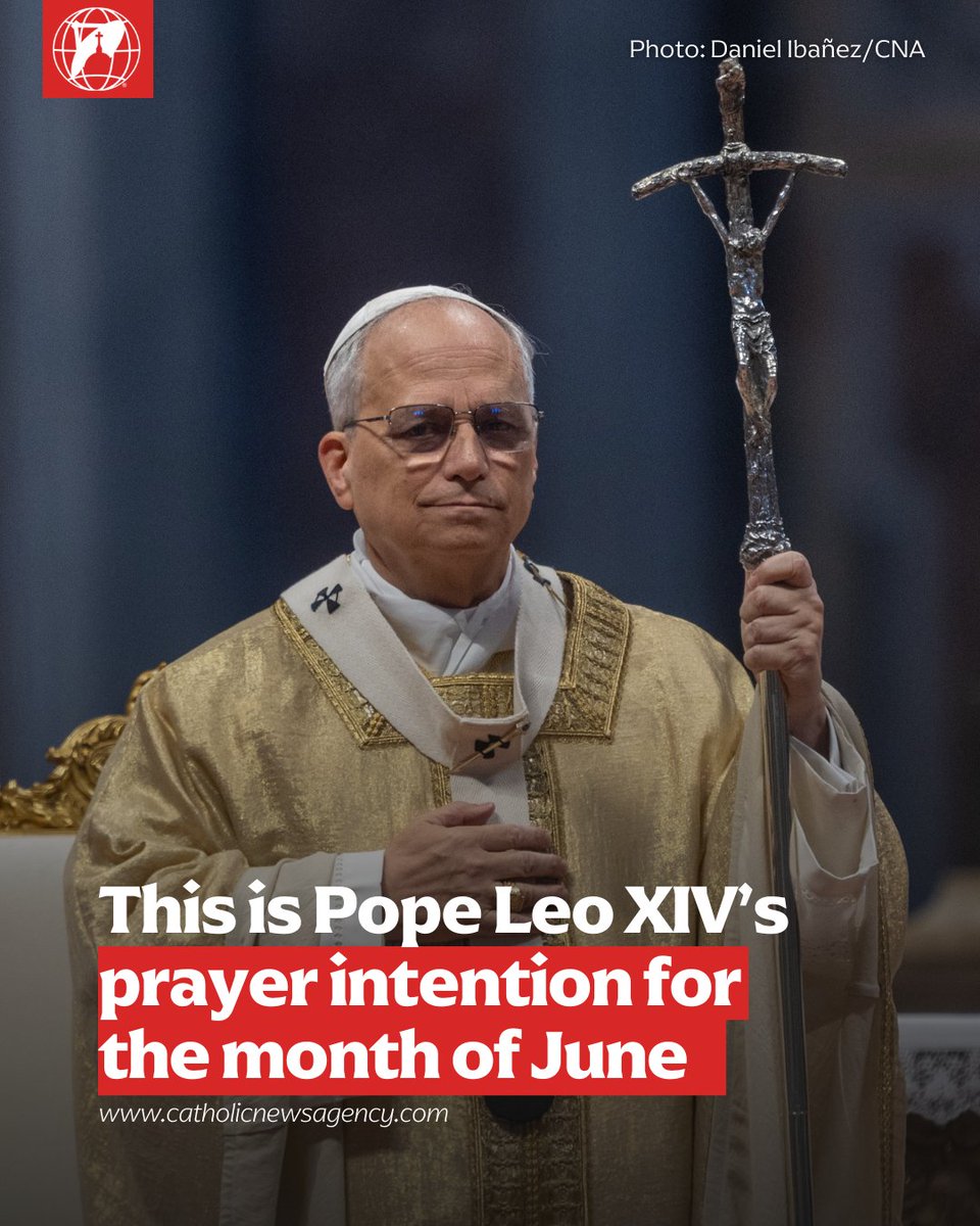 Pope Leo XIV Marks First Month: Chicago Event June 14, Faces Budget ...