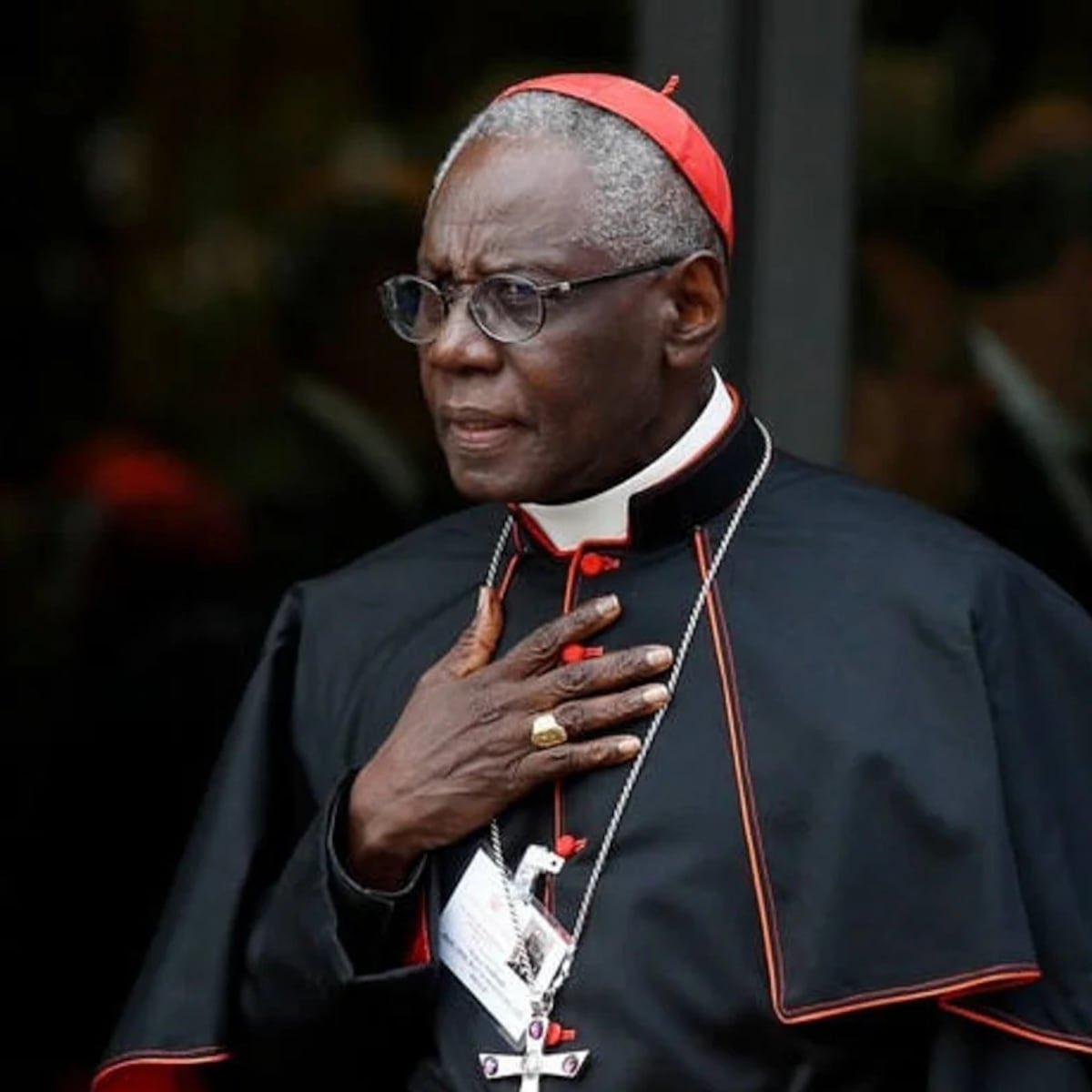 Pope Leo XIV Names Cardinal Sarah, 79, as Envoy for Sainte-Anne-d’Auray ...
