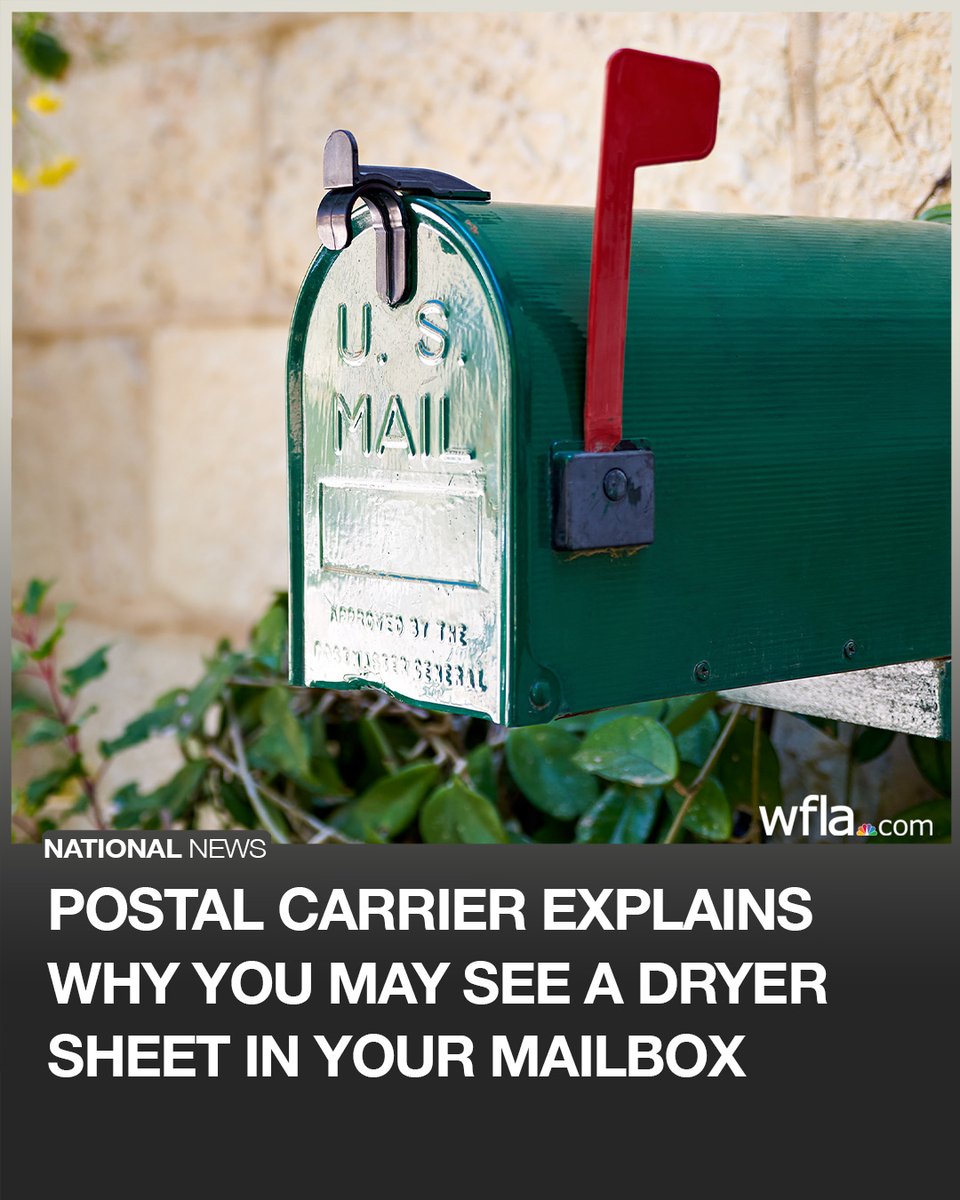 Postal Carriers Place Dryer Sheets in Mailboxes to Repel Wasps, Advise ...