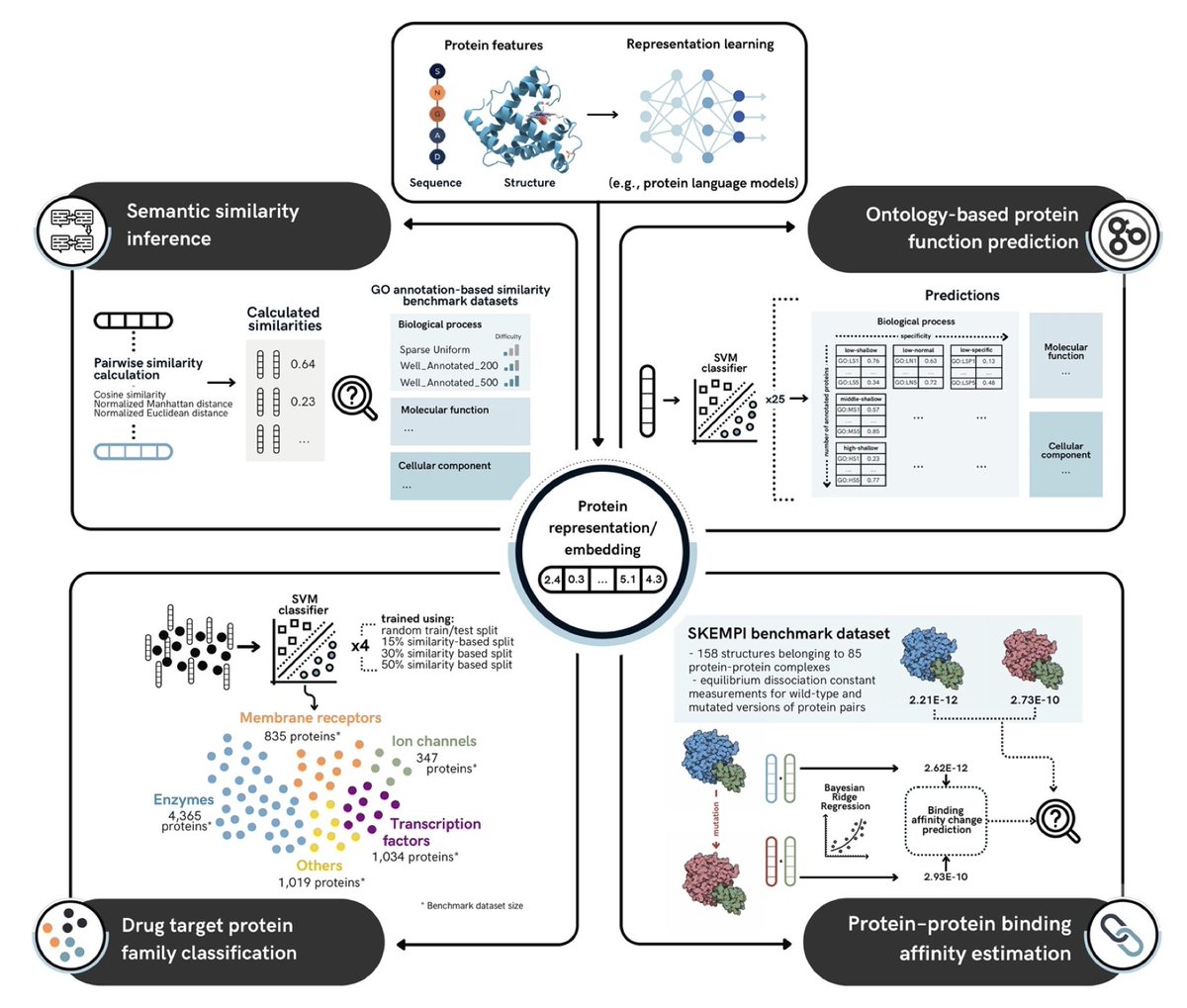Profluent Bio Launches ProGen3 AI Model with 46B Parameters for Protein ...