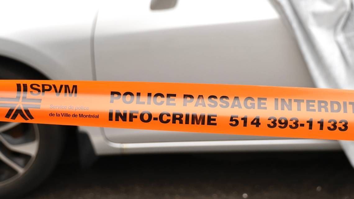 Quebec Police Arrest 11 Including Leonardo Rizzuto, Stefano Sollecito ...