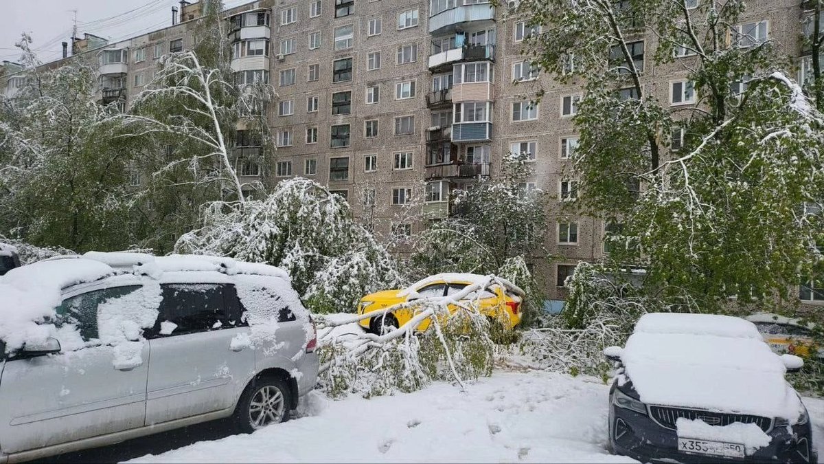 Record 43mm May Snowfall in Moscow Breaks 116-Year Record, Causes ...