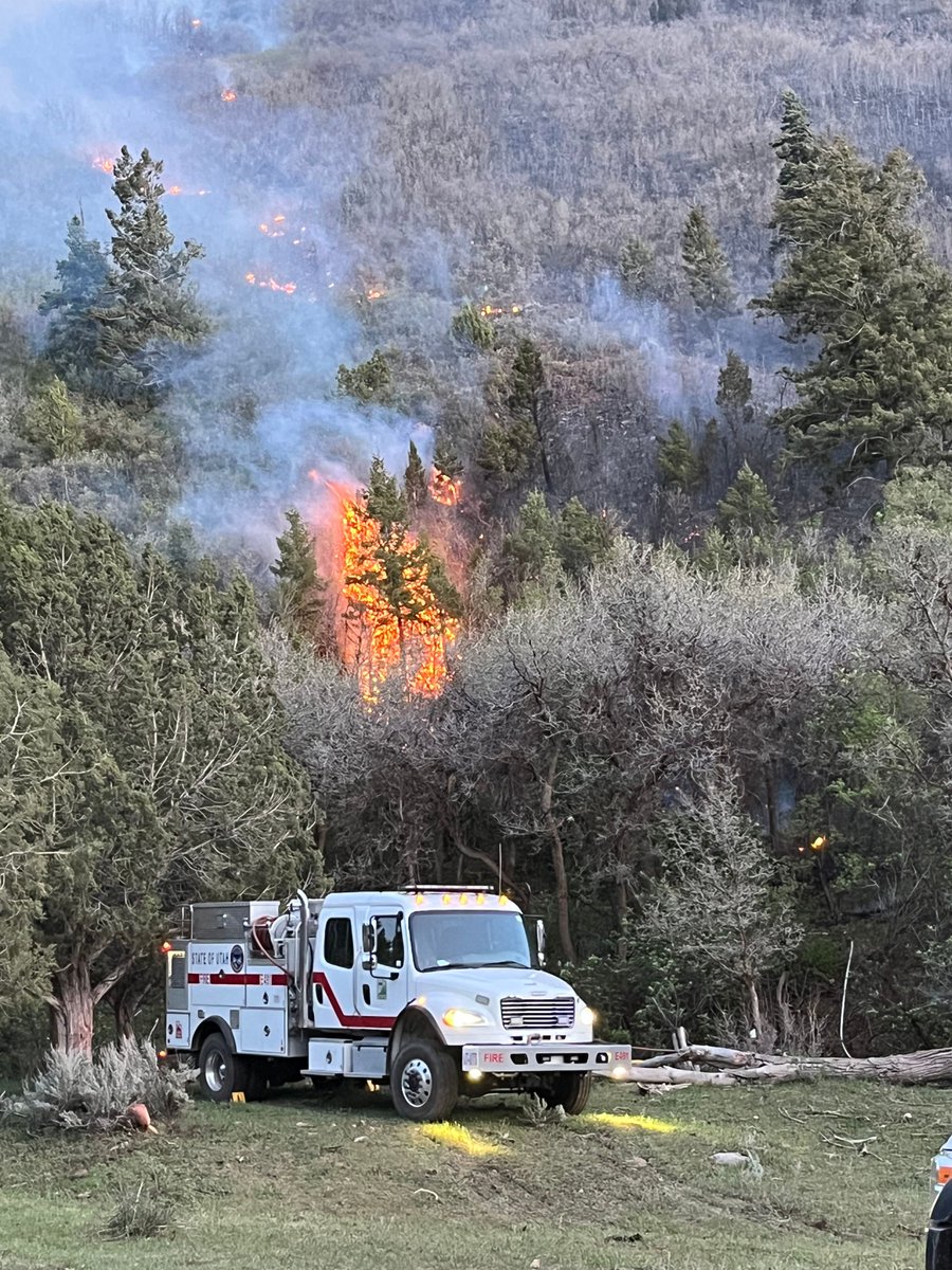 Record Snowmelt Fuels Early Wildfire Season in US West; Utah Reports ...