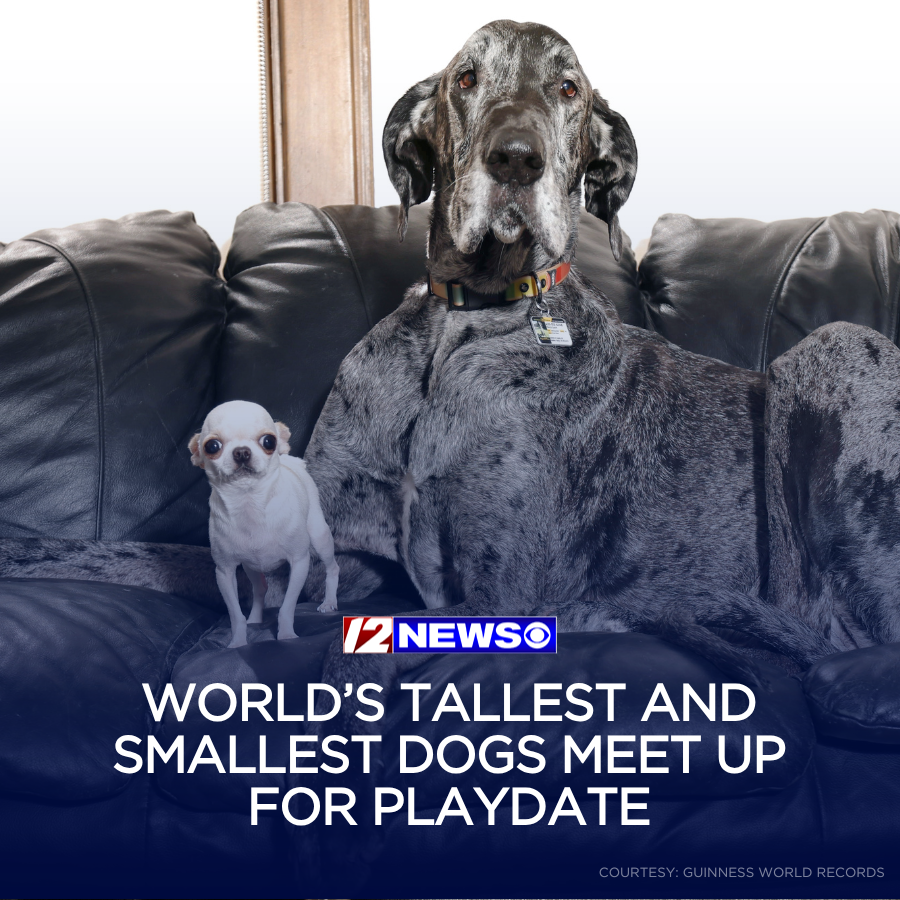 Reginald and Pearl, Certified by Guinness World Records, Meet for ...