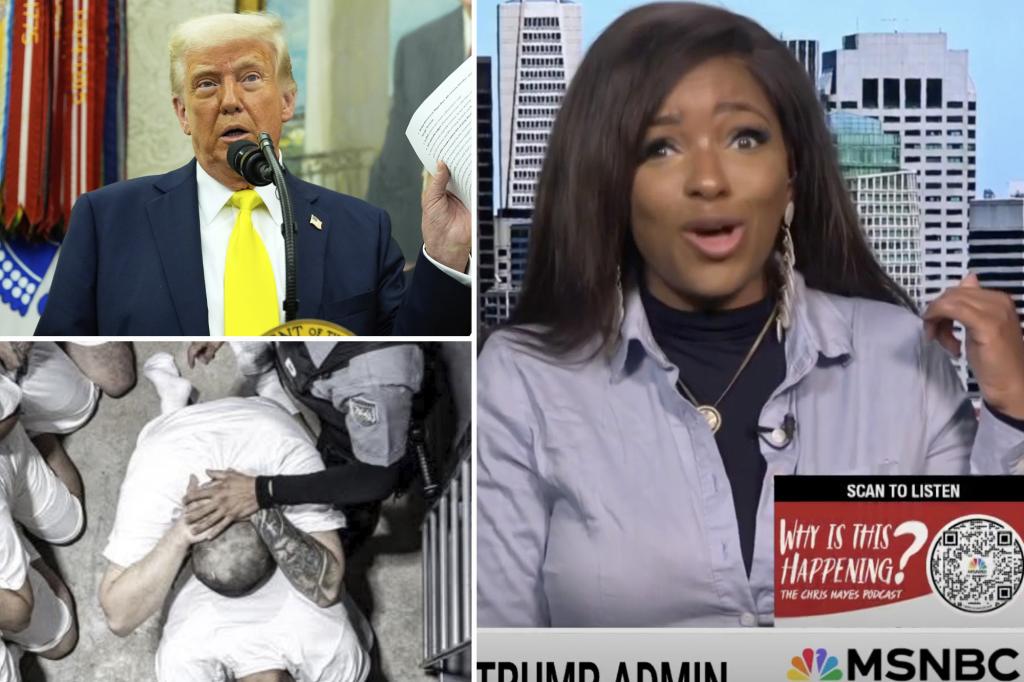Rep. Jasmine Crockett Breaks Down on MSNBC, Calls Trump More Dangerous Than MS-13 Member Amid ...