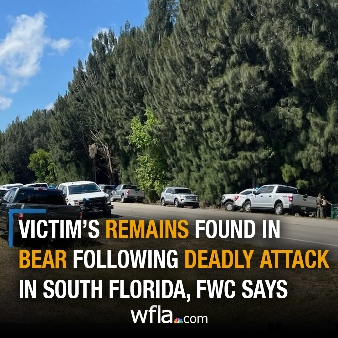 Robert Markel, 89, and Dog Killed by 263-Pound Bear in First Fatal ...