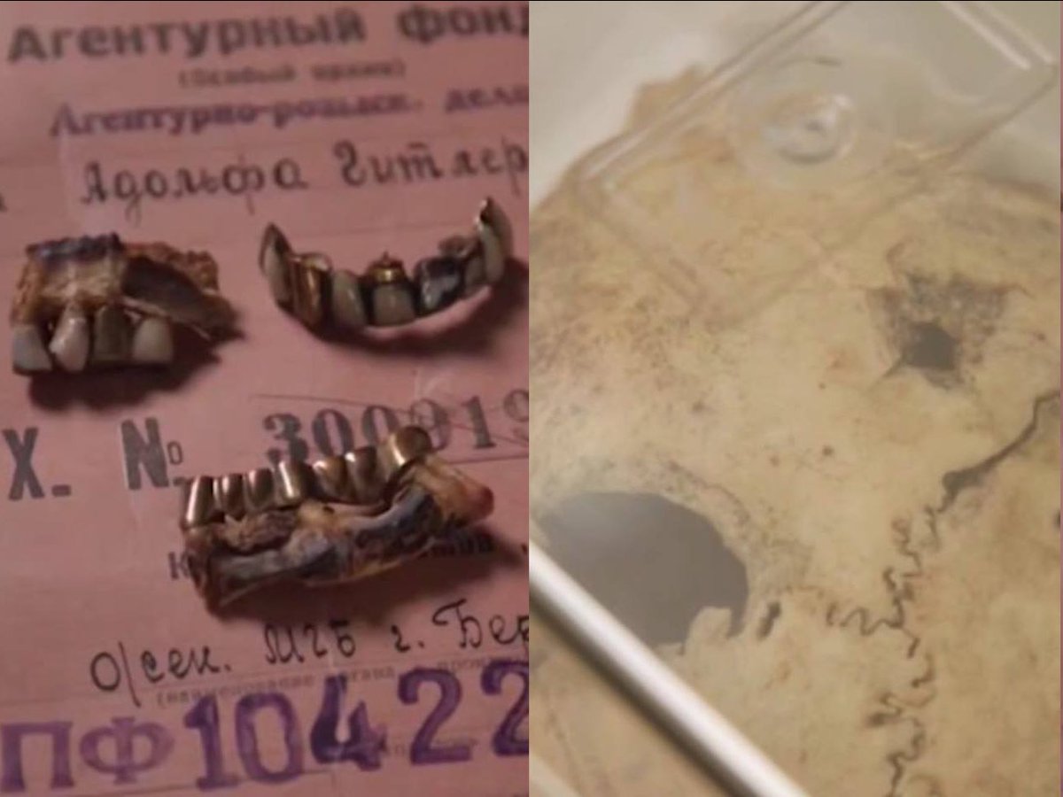 Russia's FSB Releases Hitler's Jawbone, Interrogation Protocols on 80th ...