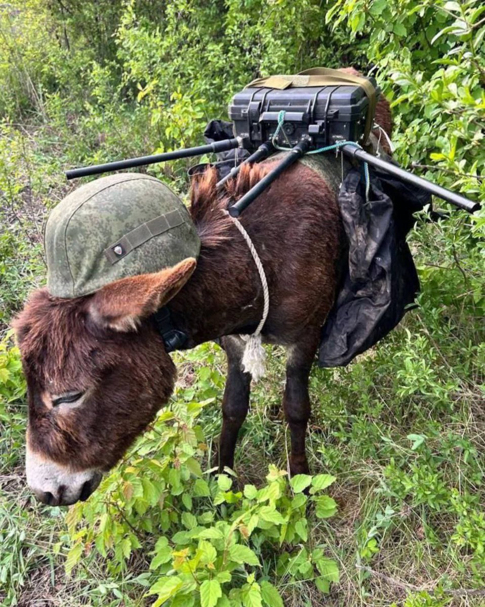 Russian Army Deploys Electronic Warfare Donkey Equipped with Drone ...
