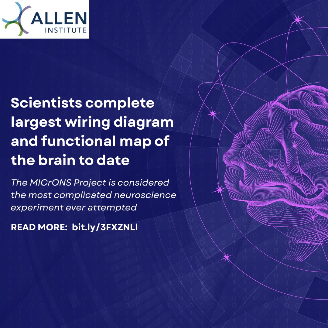 Scientists Create Largest Functional Map of Mouse Brain, Detailing 84,000 Neurons, 523 Million ...
