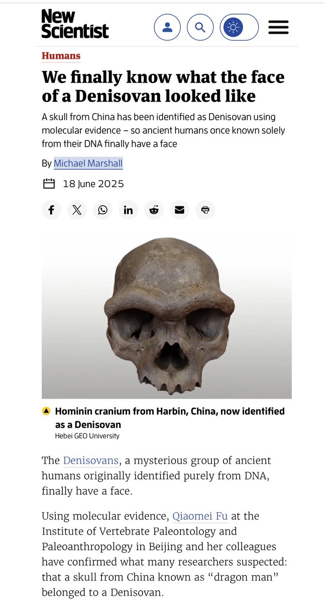 Scientists Identify 146,000-Year-Old 'Dragon Man' Denisovan Skull in ...