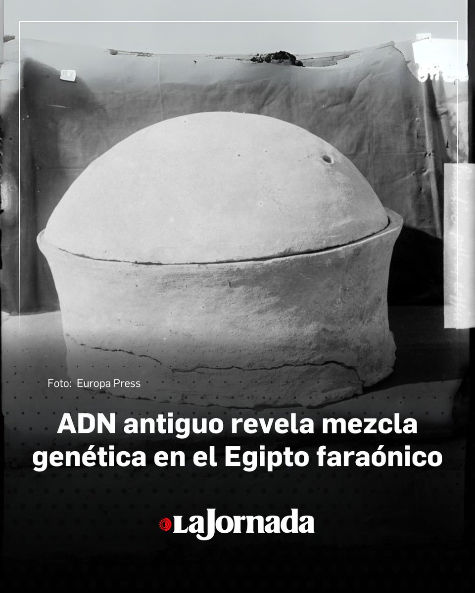 Scientists Sequence Genome of 4,500-Year-Old Ancient Egyptian Pottery ...