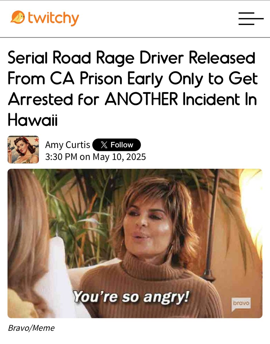 Serial Tesla Road-Rage Driver Nathaniel Radimak Arrested Again for ...