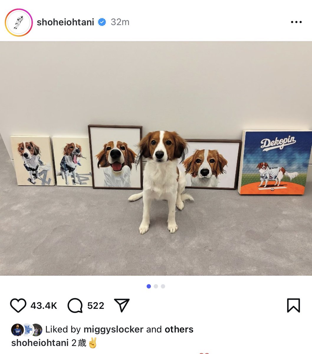 Shohei Ohtani Celebrates Dog Decoy’s 2nd Birthday With National League ...