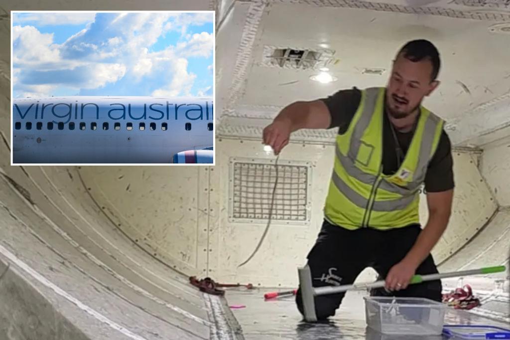 Snake Halts Virgin Australia Flight for Two Hours in Melbourne ...