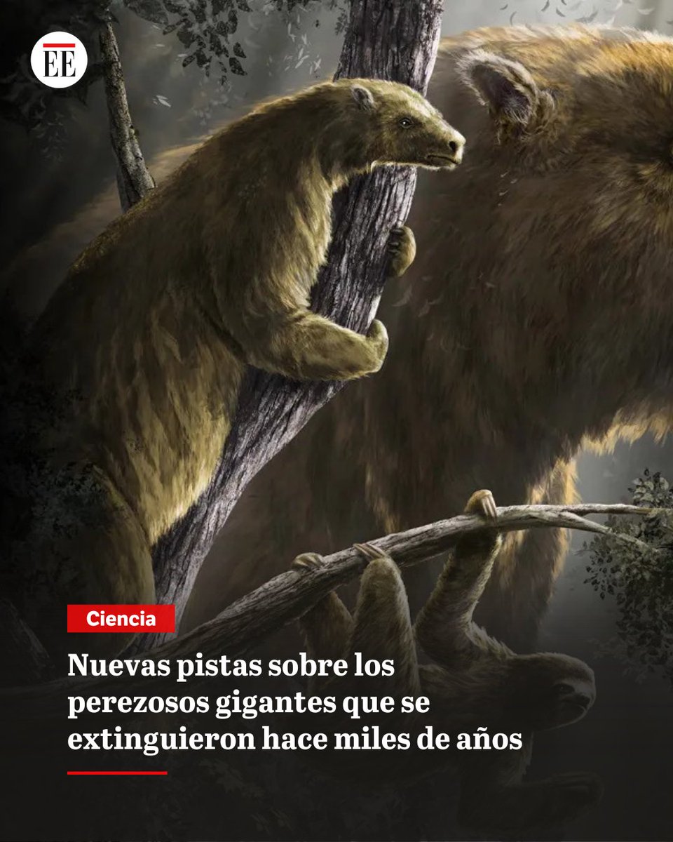 Study Links Giant Ground Sloths' Evolution Three Times and Extinction ...