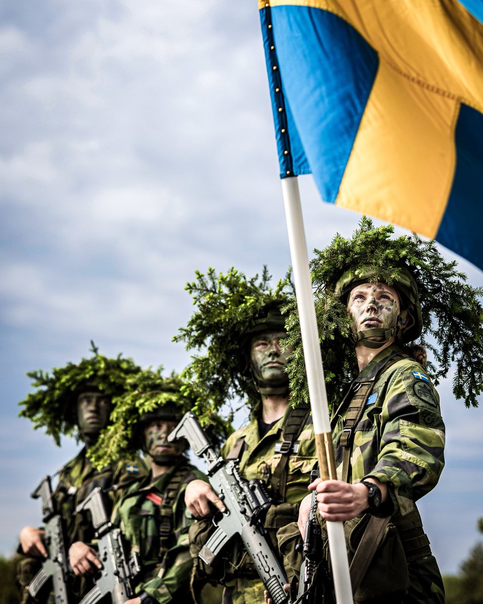 Sweden Marks First National Day as NATO Member After 2024 Accession ...