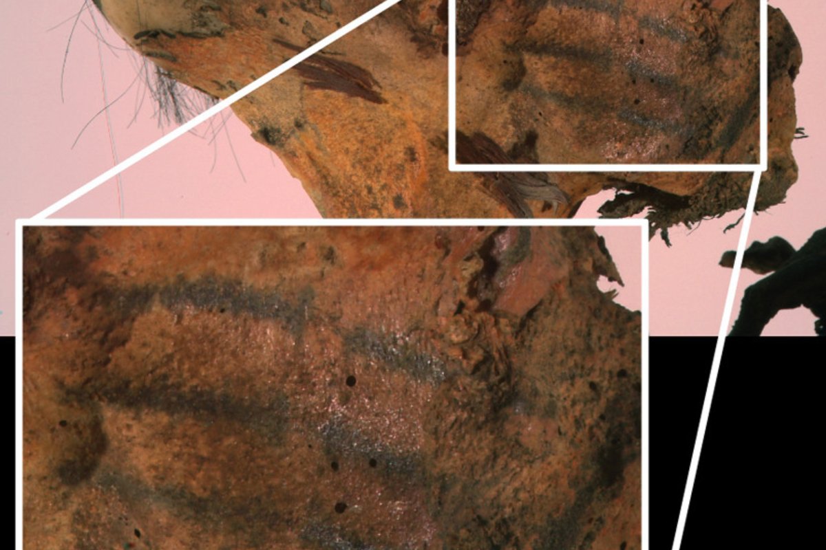 Tattooed Andean Mummy, Sutton Hoo Bromeswell Bucket, Gran Pajatén LiDAR ...