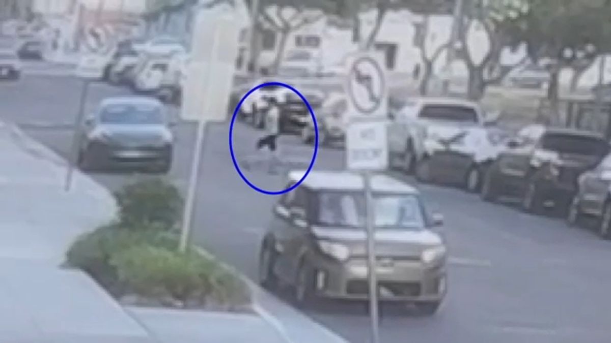 Tesla Driver Arrested in Hawaii for Assault on Mother and Daughter, Hit ...