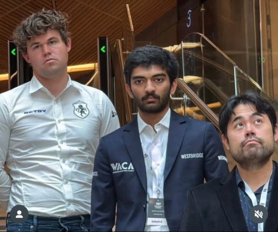 Tesla Owners Remove 'I Bought This Before Elon Went Crazy' Stickers ...