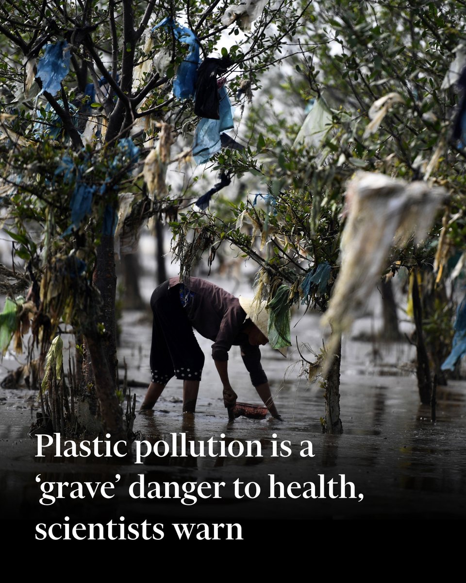 The Lancet Warns of Plastic Pollution Health Risks at All Life Stages ...