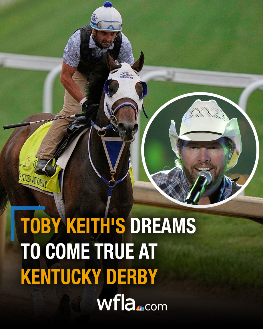 Toby Keith’s Horse Render Judgment From Dream Walkin’ Farms to Race in ...