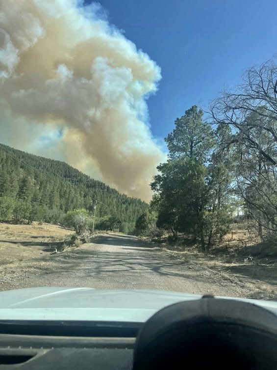 Trout Fire in New Mexico Grows to 38,682 Acres With 1,056 Personnel ...
