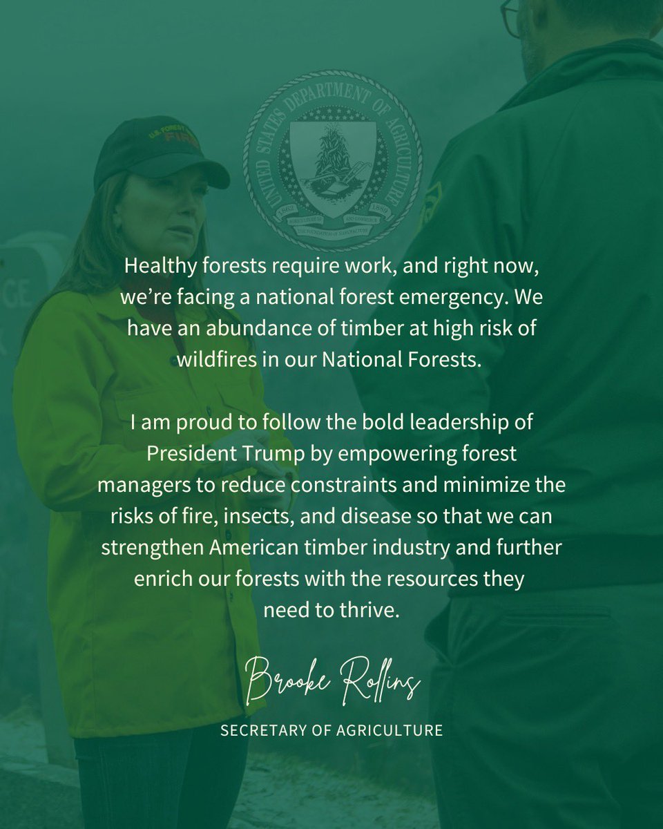 Trump Administration Increases Logging by 25% in Oregon and Washington to Boost Timber Industry ...