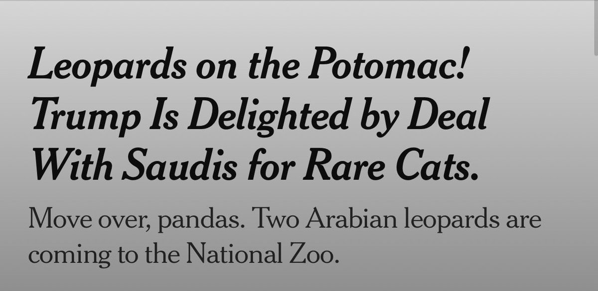 Trump Receives Pair of Critically Endangered Arabian Leopards from ...