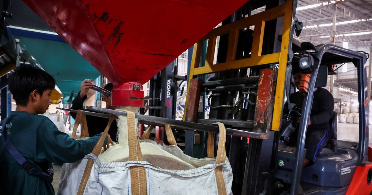 Trump Tariffs Threaten Thailand's $Billions Rice Exports, Jasmine ...
