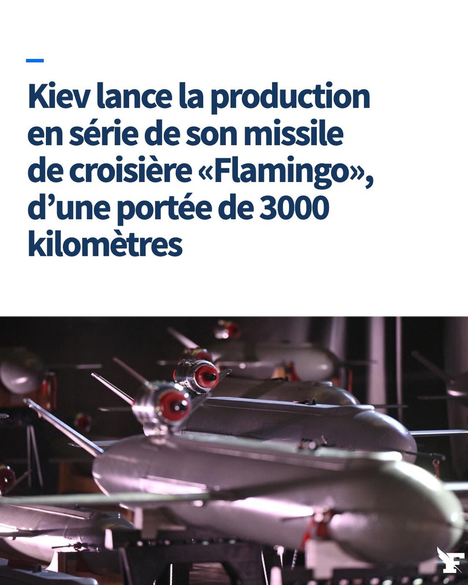 Ukraine Begins Mass Production of Flamingo Cruise Missile With 3,000 Km ...