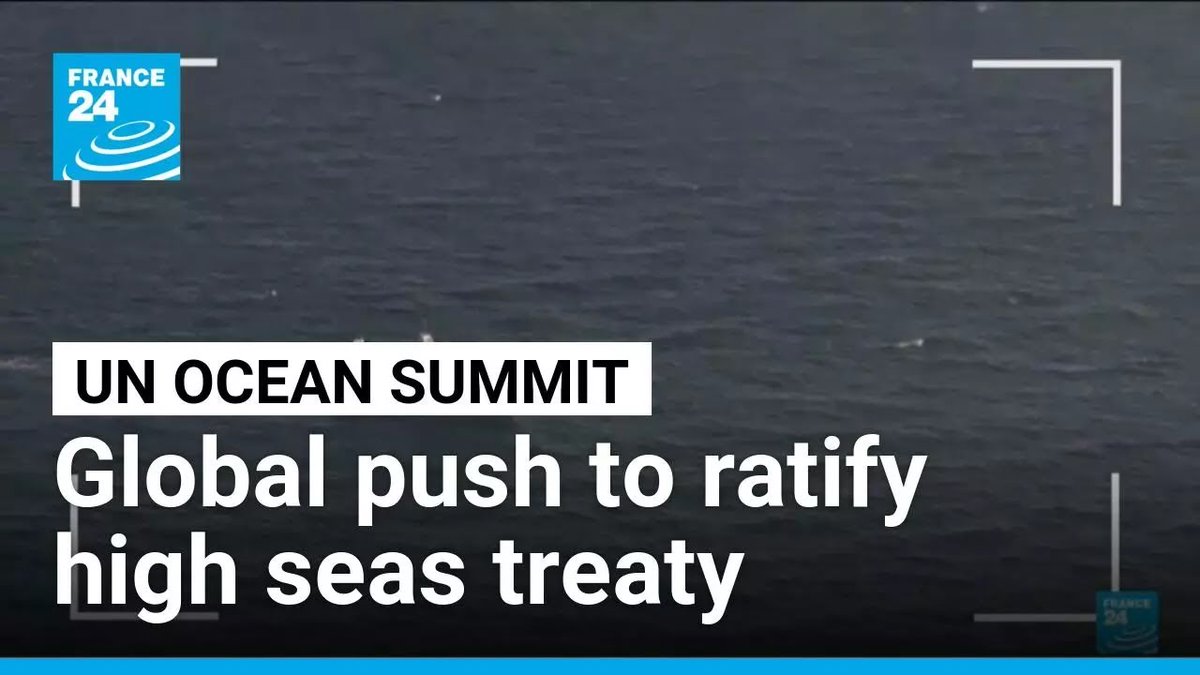 UN Ocean Summit Secures 60-Nation Backing for High Seas Treaty, Aims at ...