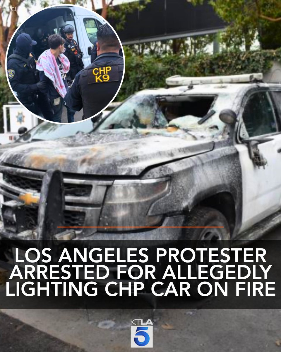 Undocumented Immigrant Charged for Spitting on ICE Officer as Adam ...