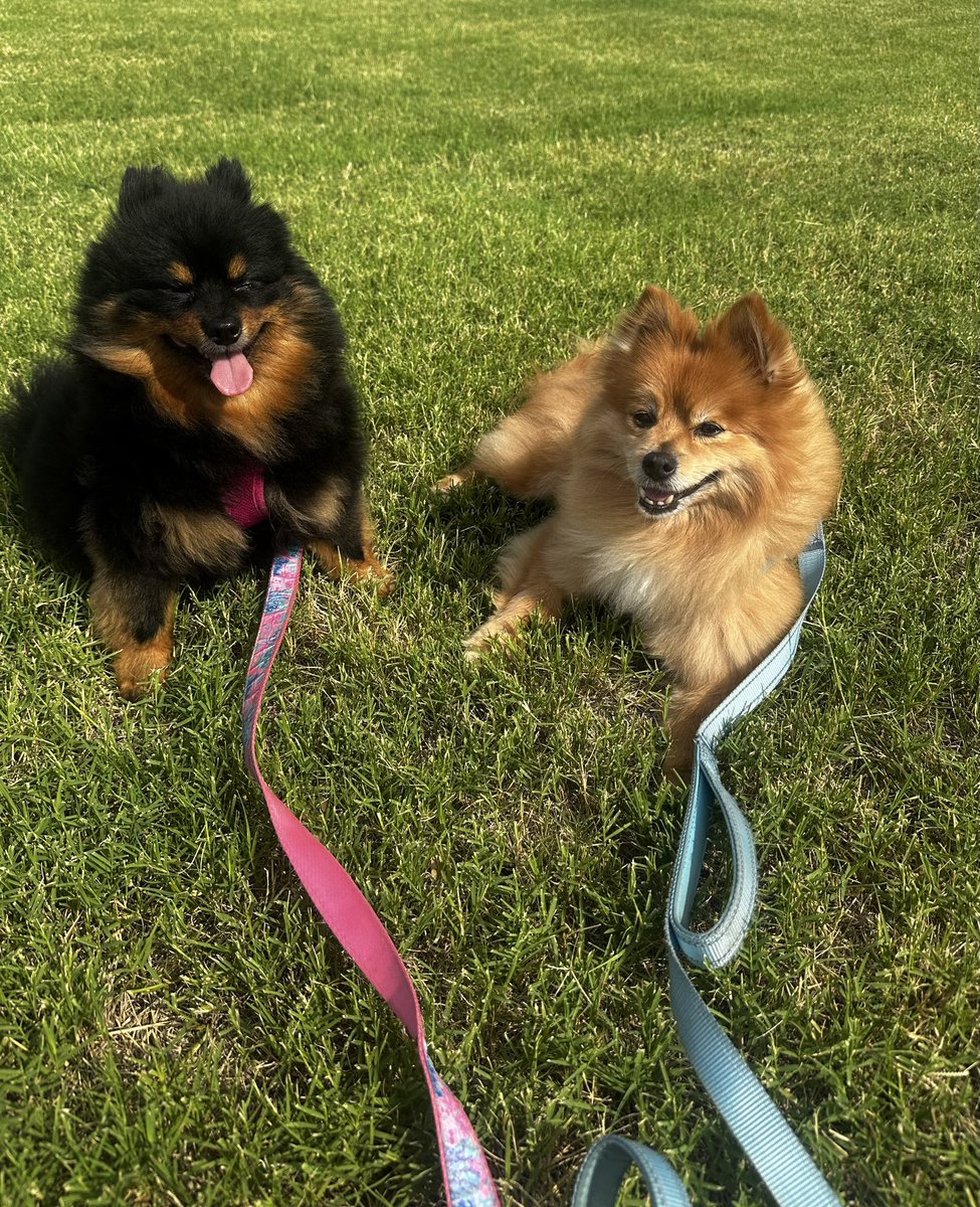 "Vanderpump Villa" Star Hannah Fouch Seeks Las Vegas Community Help ...