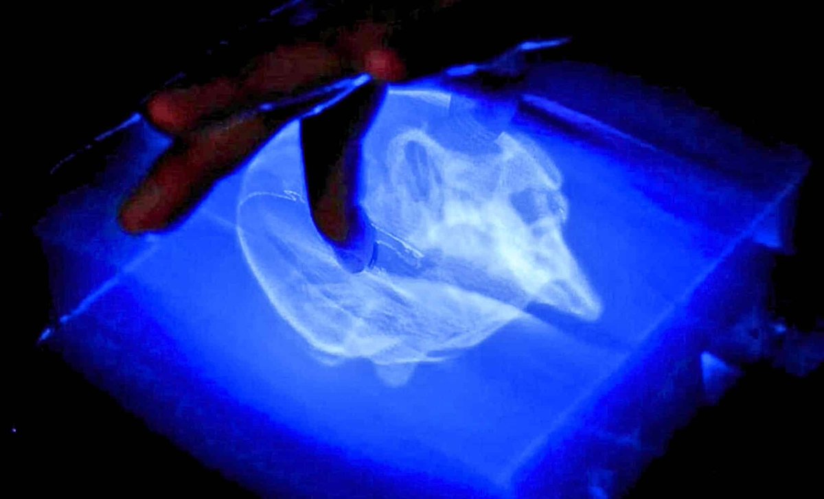 Voxon Photonics Develops Touchable 3D Holograms with 360-Degree Viewing ...