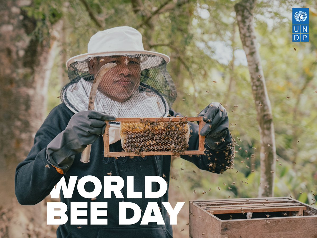 War in Ukraine, Microplastic and Light Pollution Threaten Bees on World Bee Day | DeepNewz ...