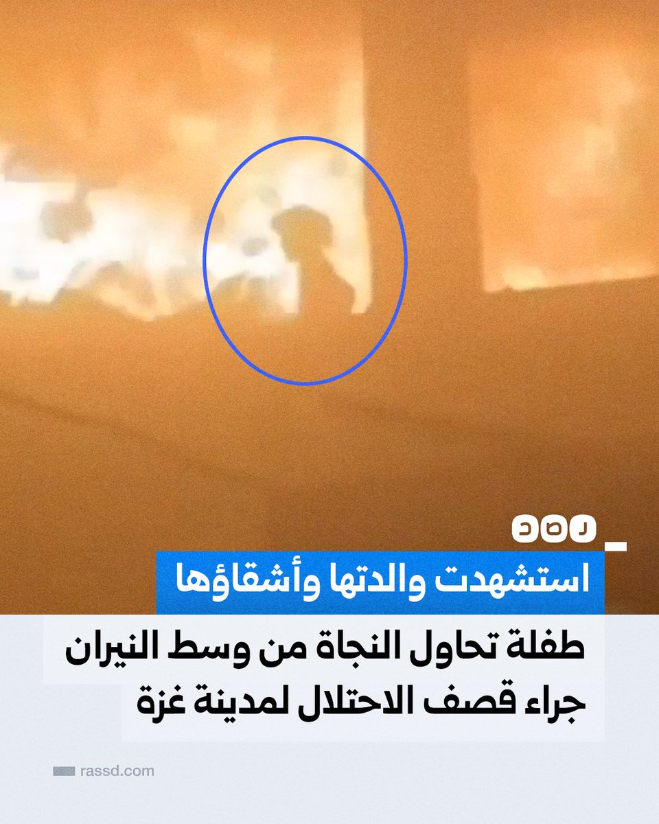 Ward Sheikh Khalil Survives Israeli Airstrike on Gaza School; Mother ...