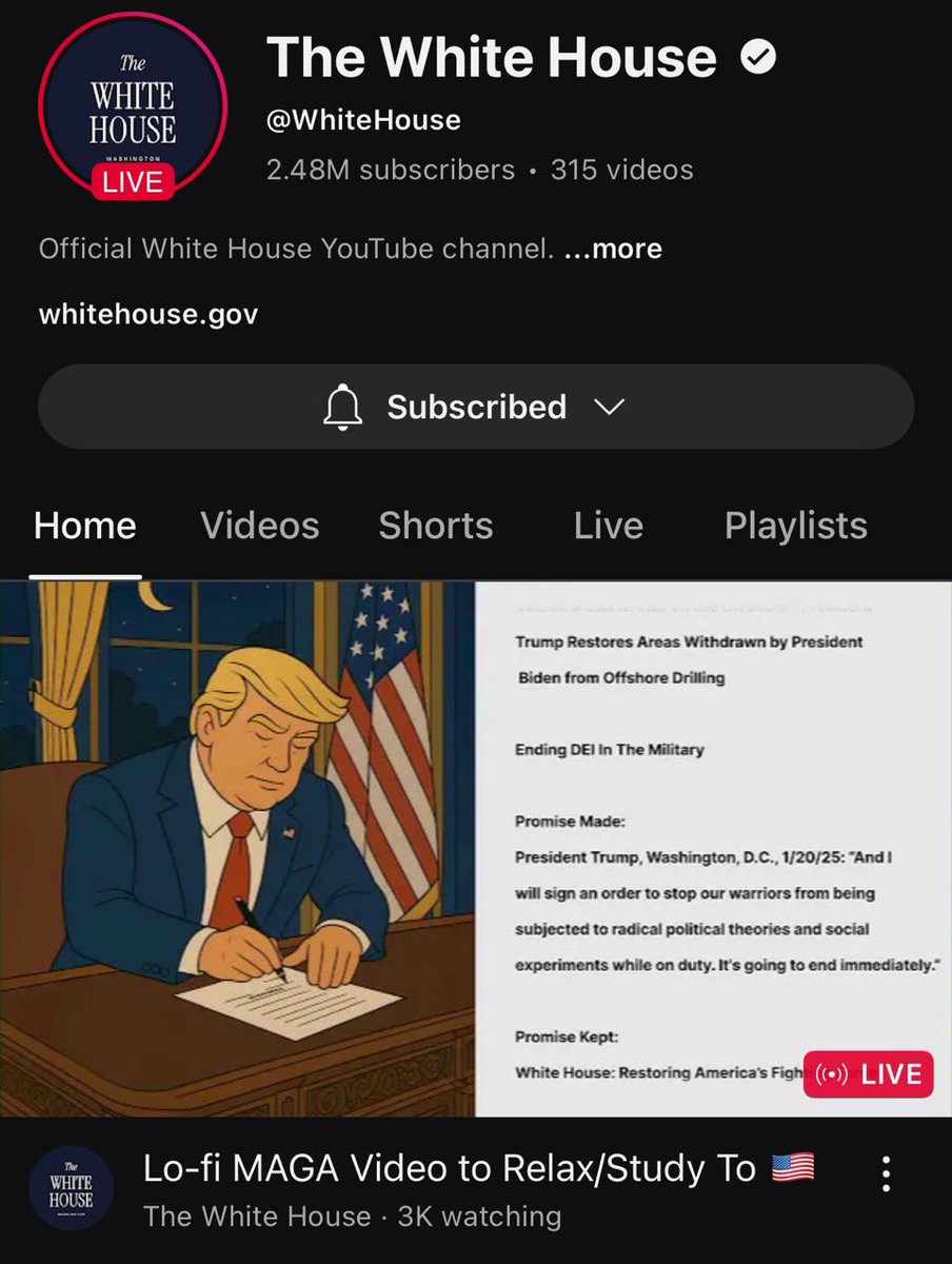 White House Launches 24/7 Lo-fi MAGA Animated Trump Stream with ...