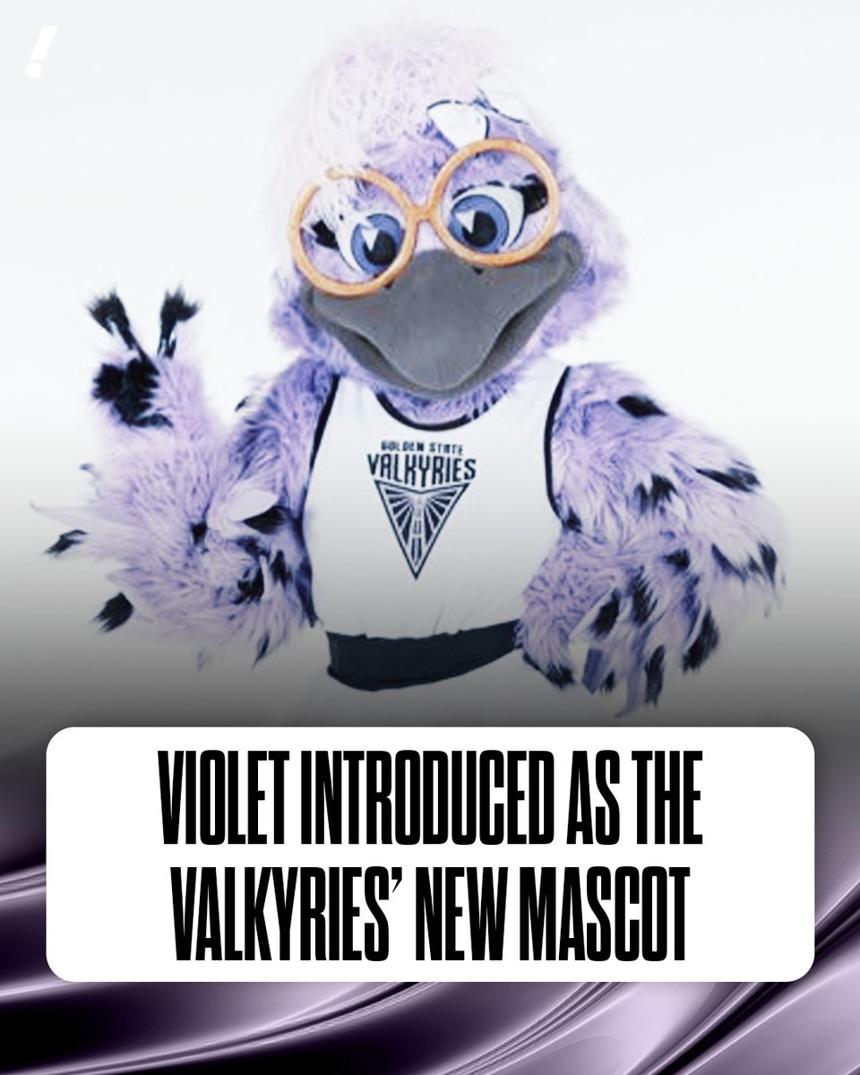 WNBA’s Golden State Valkyries Unveil Violet the Raven Mascot | DeepNewz ...