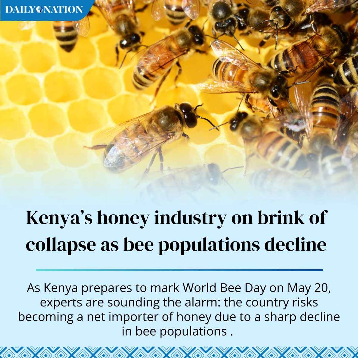 World Bee Day Highlights 40% Pollinator Risk, Kenya Honey Industry ...