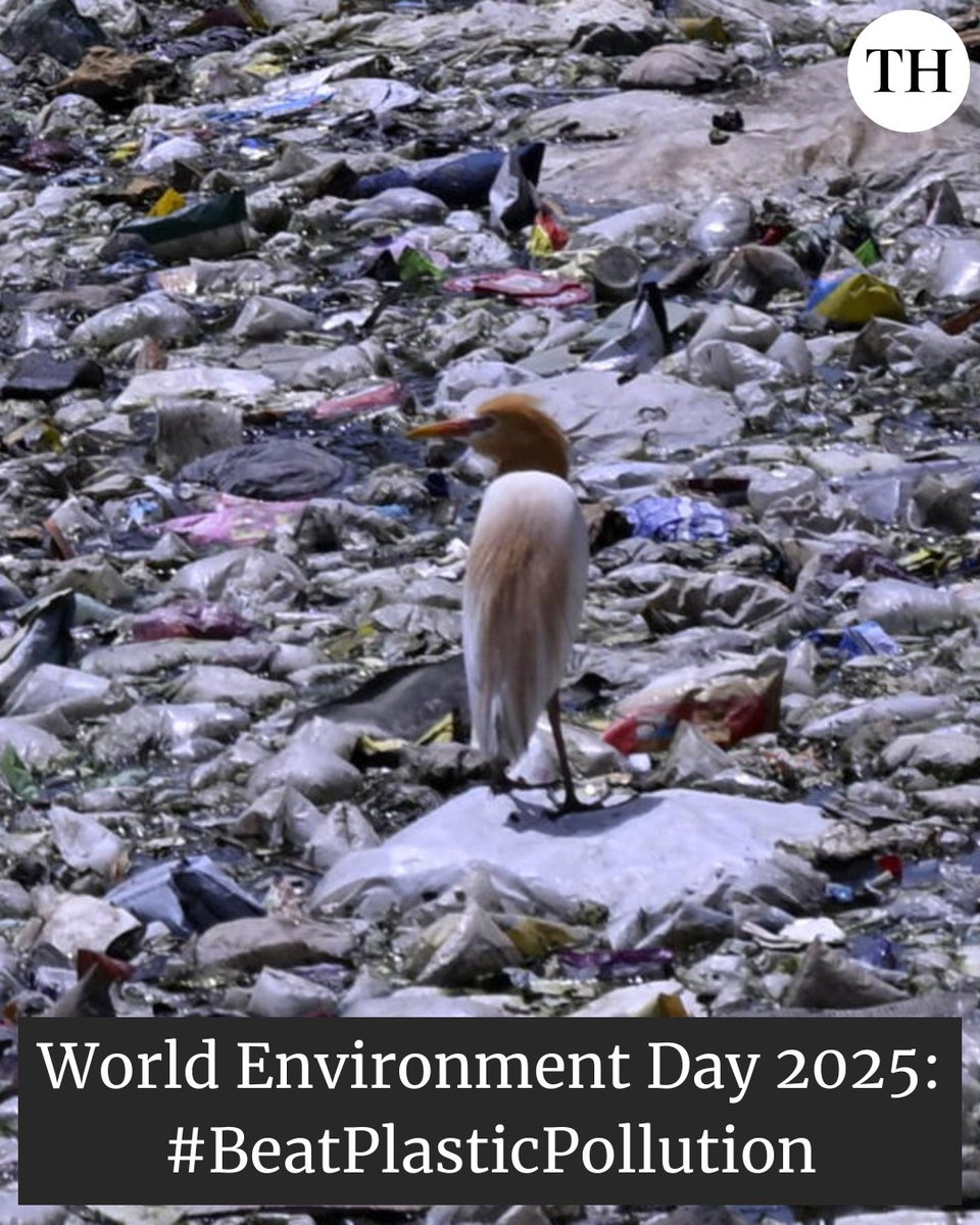 World Environment Day 2025: India and Türkiye Lead Plastic Pollution ...