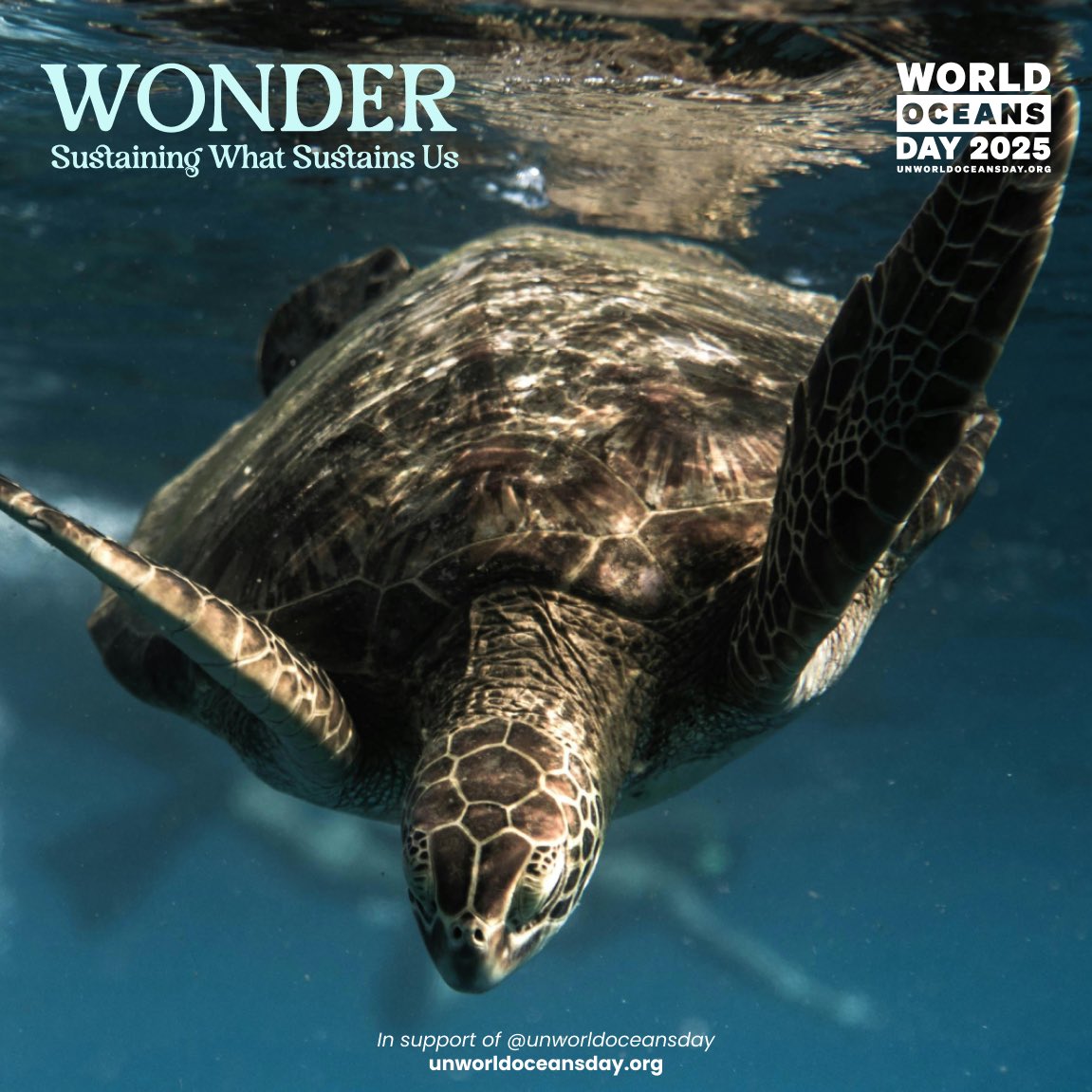 World Oceans Day 2025: 'Wonder' Theme, UN SDG 14, and Global Deep-Sea ...