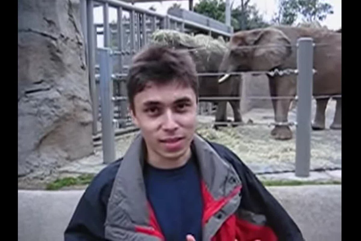 YouTube Marks 20 Years Since 'Me at the Zoo', Now Boasts 2.7 Billion Users and AI Focus ...