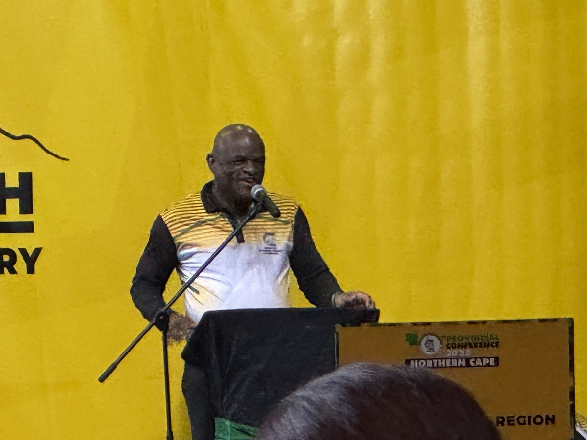 Zamani Saul Re-Elected Unopposed for Third Term as Northern Cape ANC ...